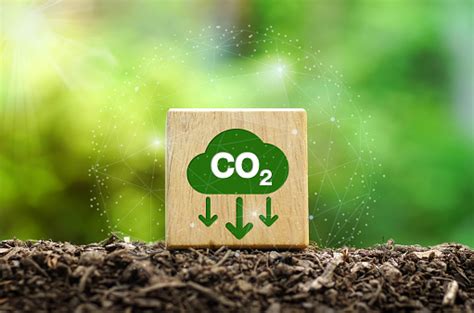나무 큐브에 있는 Co2 감소 아이콘 Co2 배출 개념 녹색 산업 사업 개념입니다 순 배출 제로 개념 순 제로 배출 목표 기후