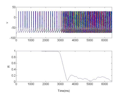 Synchronized Activity Of The Coupled Population Of Neurons The Download Scientific Diagram