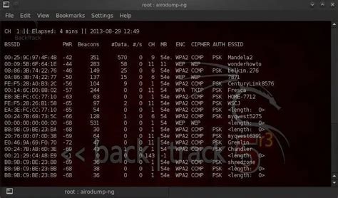 how to use aircrack ng to crack wep porgems