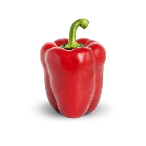 Healthy And Natural Fresh Red Capsicum At Best Price In Pune Sanshi Exim