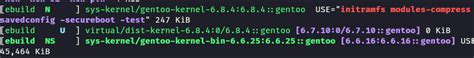 Why Does Portage Try To Emerge Both Gentoo Kernel And Gentoo Kernel Bin