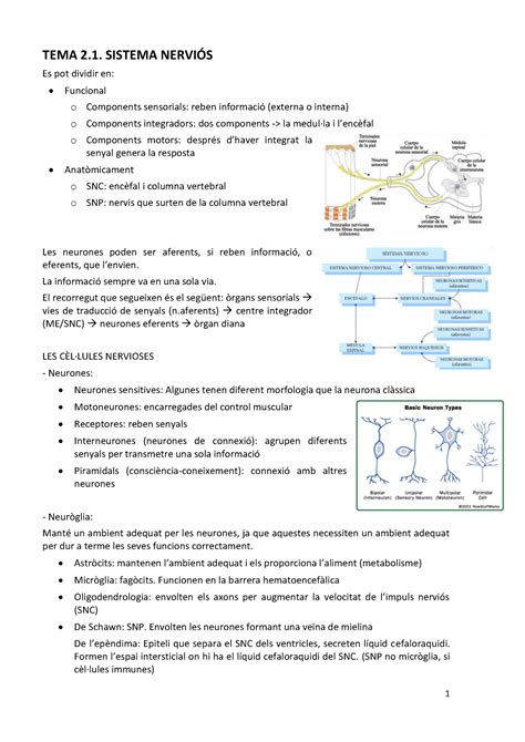Tema 2 Warning Tt Undefined Function 32 Warning Tt Undefined