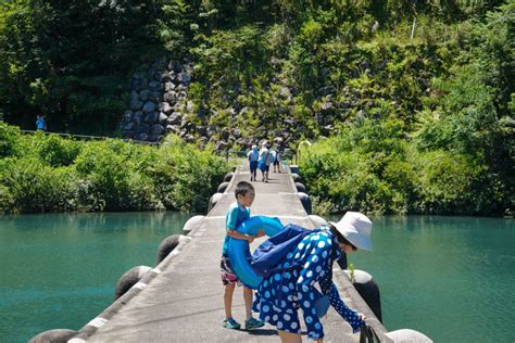 【前編】“沈下橋って何？”から始まる四万十町の旅｜おすすめ橋めぐりガイド｜これであなたも沈下橋マスター｜四万十町公式note