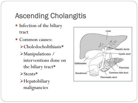 Cholangitis Vs Cholecystitis