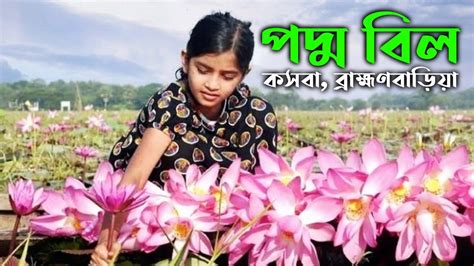 Poddo Bil পদ্ম বিল বড় কালীবাড়ি কসবা ব্রাহ্মণবাড়িয়া Adnan