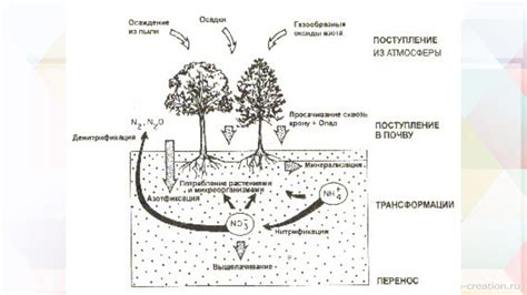 Презентация на тему Структура глобального цикла