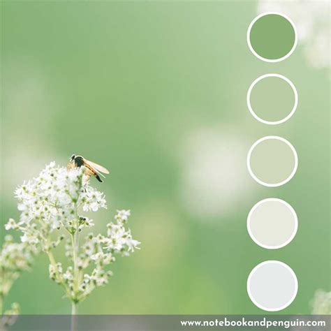 23 Soft Pastel Color Palette Ideas With Hex Color Codes