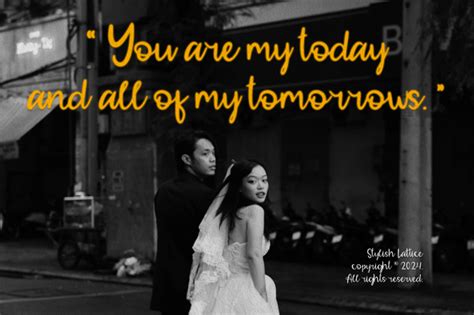 Stylish Lattice Elegant Modern Script Script And Handwritten Ft Cursive And Elegant Envato