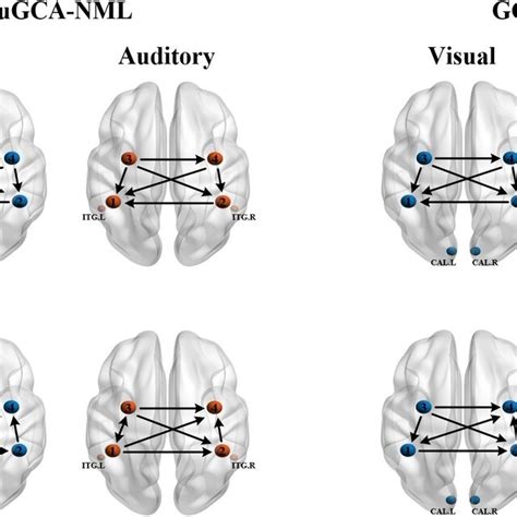 Mental Arithmetic Networks Under Different Stimuli Obtained By Download Scientific Diagram