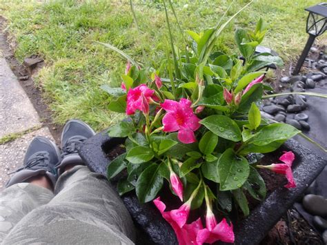 Assignment5 All Flickr Assignment5 All Flickr