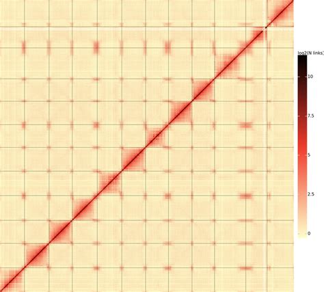 Heat Map Of Genome Wide Hi C Intra Chromosome Interactions In Solanum Download Scientific