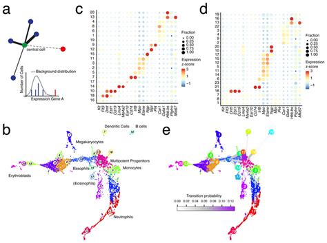 Revealing Dynamics Of Gene Expression Variability In Cell State Space Pmc
