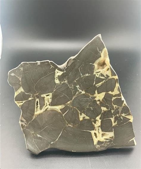 septarian nodule slice uv reactive etsy