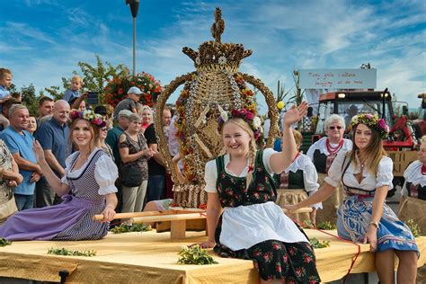 20000 Free Harvest Festival And Harvest Photos Pixabay