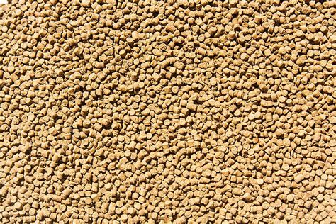 Shrimp Feed Feed Formula Texture Photo Background And Picture For Free
