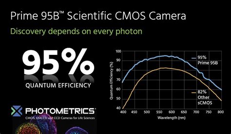 Photometrics Launches Next Generation Scientific CMOS Camera With Percent Quantum Efficiency
