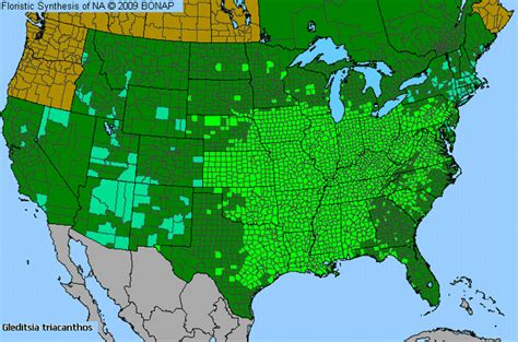 Honey Locust Range Map Honey Locust Naturespot