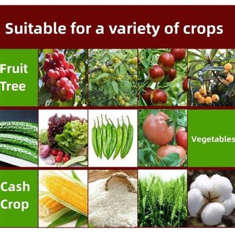 High Quality Urea 46 With Competitive Price Expore China Wholesale