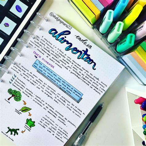 Mapa Mental Sobre Cadeia Alimentar Study Maps