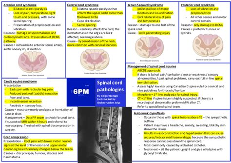 Spinal Cord Pathologies Cheat Sheet Content Medall