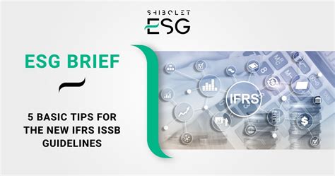 Esg Brief 5 טיפים להנחיות החדשות של Ifrs Issb Shibolet Esg