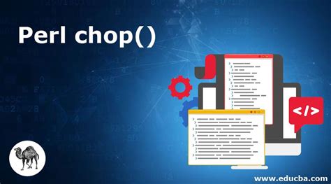 Perl Chop How To Get The Last Character Of A String In Perl