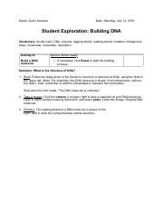 DNA Replication Gizmo Pdf Name Quinn Derksen Date Saturday July Babe Exploration