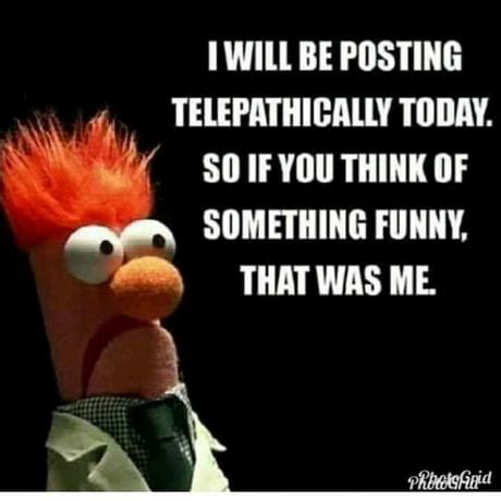 Beaker Muppet Meme