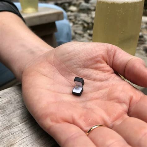 20 Delightful Pics Of Tiny Objects That Might Brighten Your Day Demilked