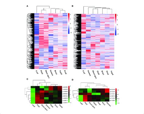 Hierarchical Clustering Analysis And The Relative Expression Profile