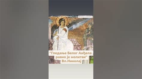 Бели Анђео чувар људског рода 😇🙏♥️ Youtube