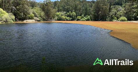 Lake Anza Beach Hikes And Trails To Get You There Alltrails