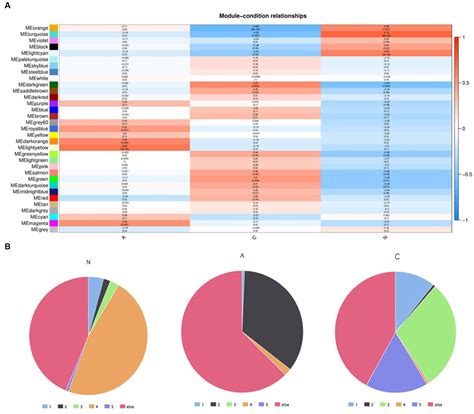 El Análisis Del Transcriptoma De Las Secuencias De Adenoma Y Carcinoma