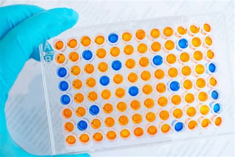 how to calculate elisa assay values by excel elisa tests