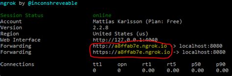 devlead mattias karlsson s blog using ngrok with azure functions⚡