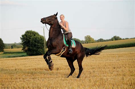 Rothaarige Reitet Einen Riesigen Schwanz Telegraph