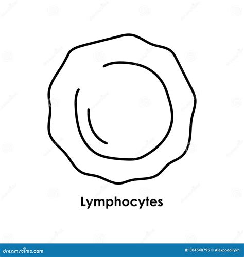 Lymphocytes Color Icon White Blood Cells In The Blood Vessels Stock