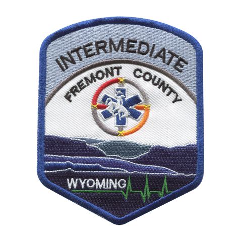 EMS Patches For Sale Custom EMS Patches Netpro Patches