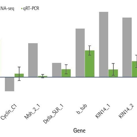 Quantitative Real Time Polymerase Chain Reaction Qrt Pcr Validation Download Scientific