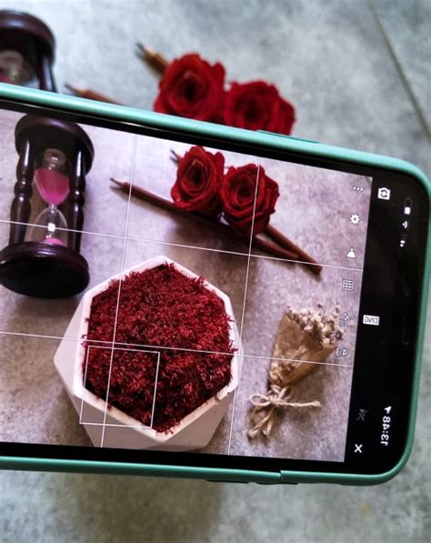 Наш блог про стабілізований мох в Україні Найкраща ціна на ягель