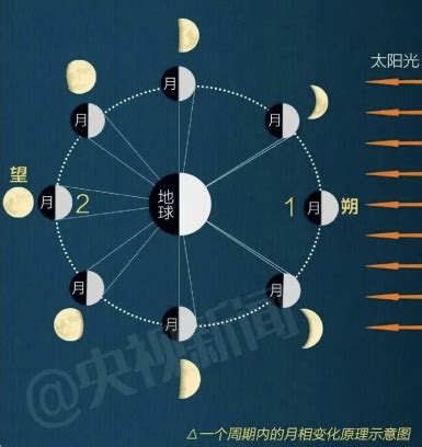 为什么秋天的月亮格外皎洁?跟随静宝一起来了解关于月亮的气象小知识|静宝聊天室 为什么秋天的月亮格外皎洁?跟随静宝一起来了解关于月亮的气象小知识|静宝聊天室