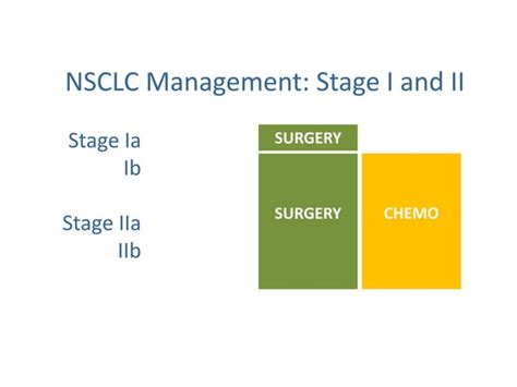 NSCLC Management Basics PPTX