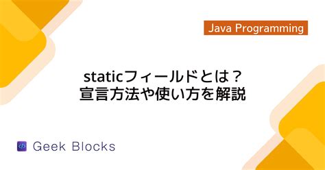 Java Staticフィールドとは?宣言方法や使い方を解説 Geekblocks Java Staticフィールドとは?宣言方法や使い方を解説 Geekblocks