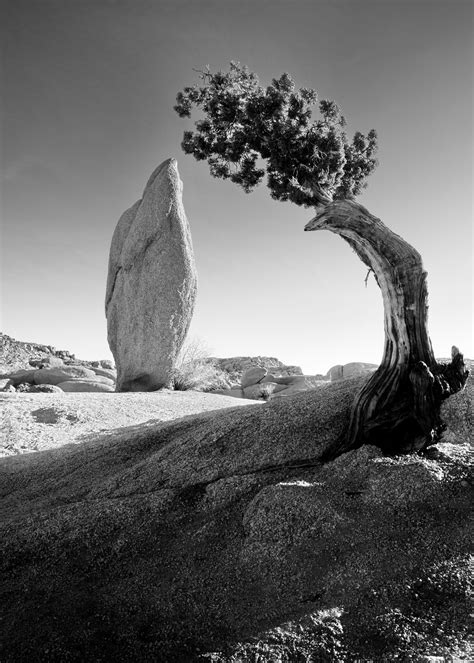 Ansel Adams Photography Hawaii