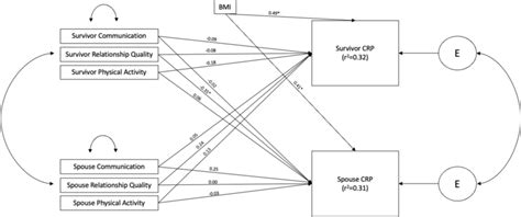 Standardized Parameter Estimates Of Actor And Partner Effects Of