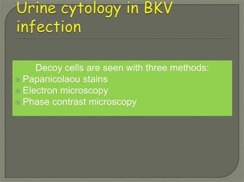 Bk Virus Nephropathy Pptx