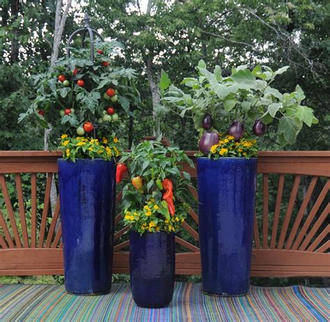 Container Edible Garden At Austin Skipper Blog