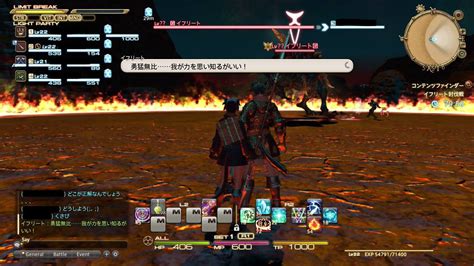 Ff14 猛る焔神イフリート 攻略 Ff14 イフリート討伐戦 Npc Dmlbh