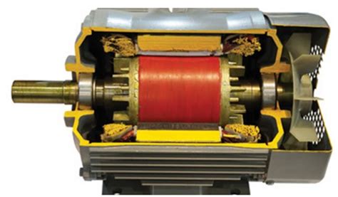Induction Motor Lubrication