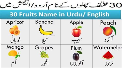 Fruits Name In Hindi And Urdu Fruits Vocabulary In English Fruit